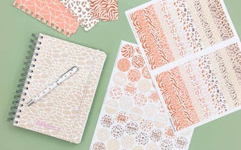 Great Value Kits & Bundles with Planner Accessories
