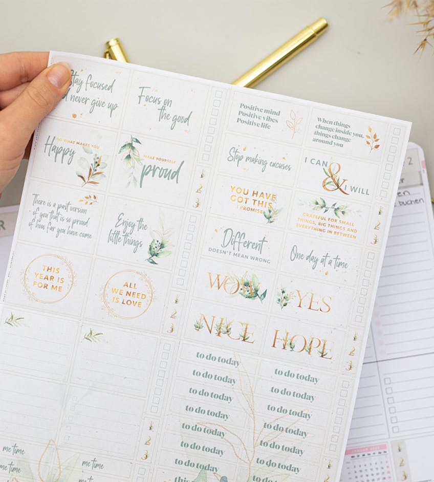 Klistermärken Days of Focus (Box) - Beige